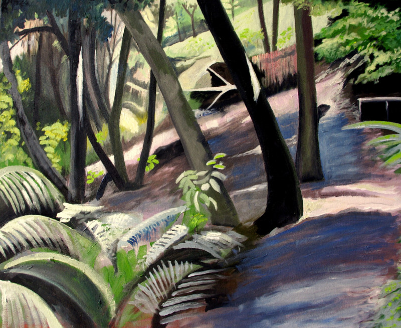 Bush walking above Oamaru Bay 1 - David Quinlan - Artist