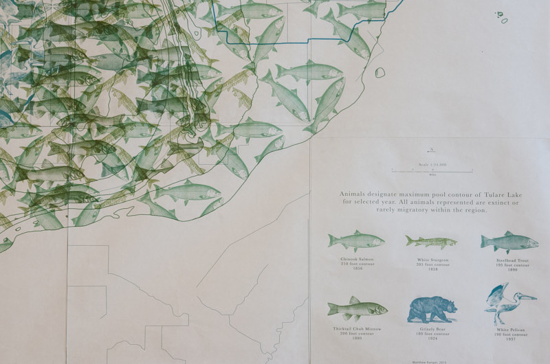 DETAIL: Tulare Lake - RANGEL STUDIO