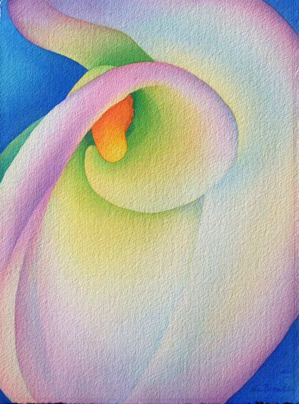 Calla - Anne Popperwell Paintings