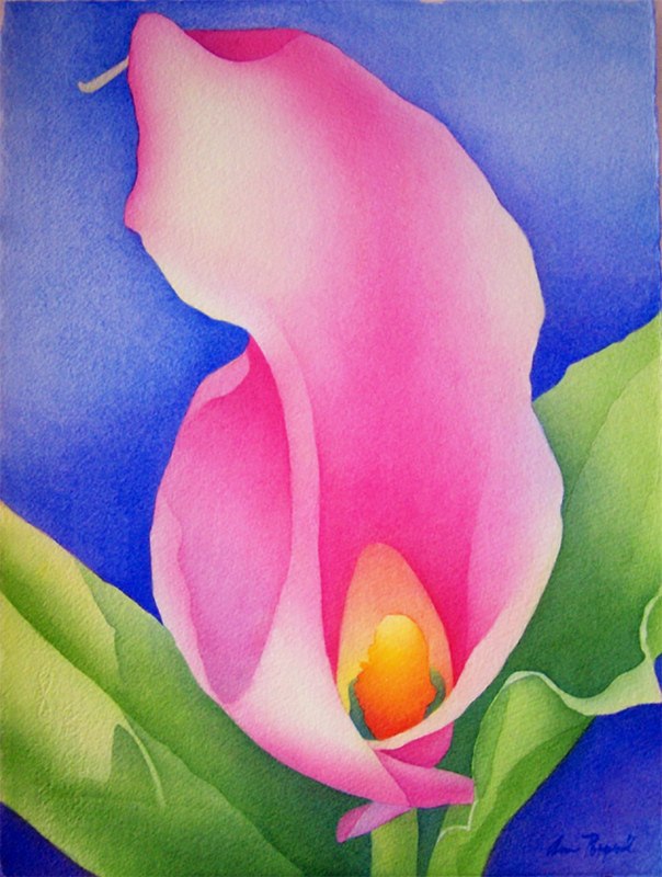 Pink Calla - Anne Popperwell Paintings
