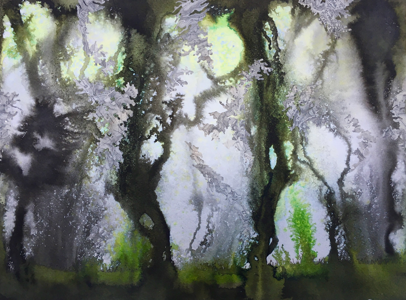 Napoli Trees - Mark M Garrett