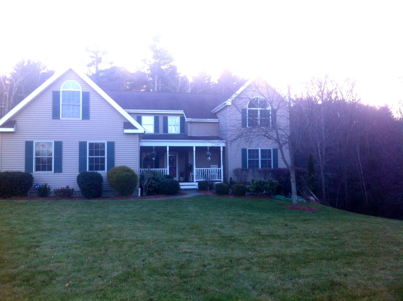 House portraits & others - Tom Menard - Artist