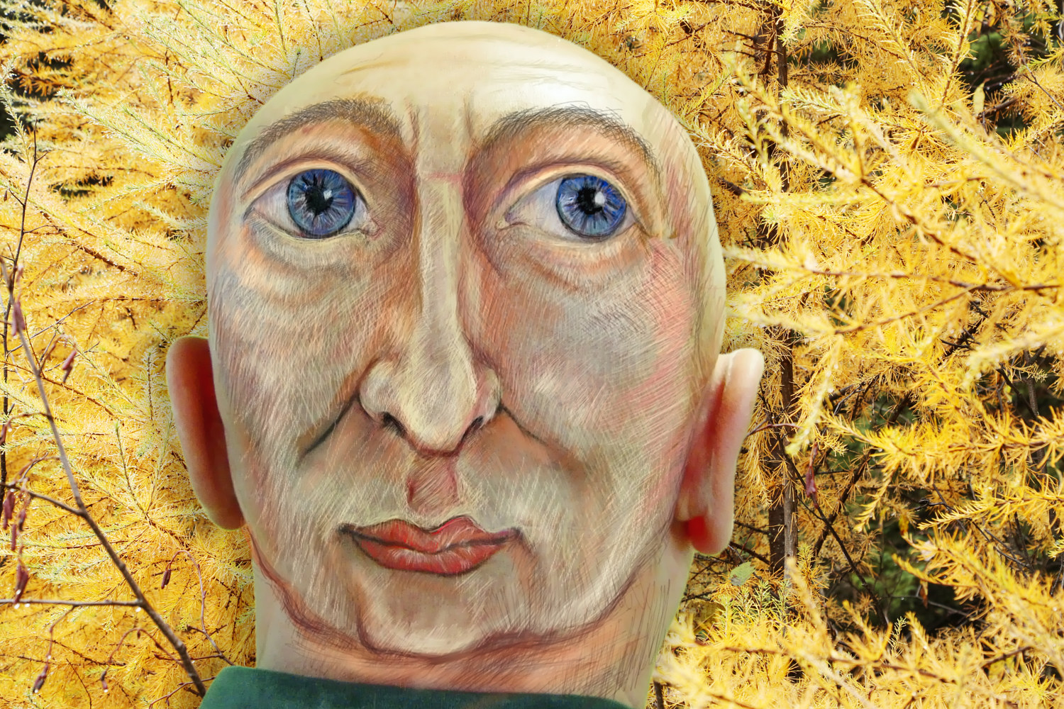 Narcissus - Marc Brisson