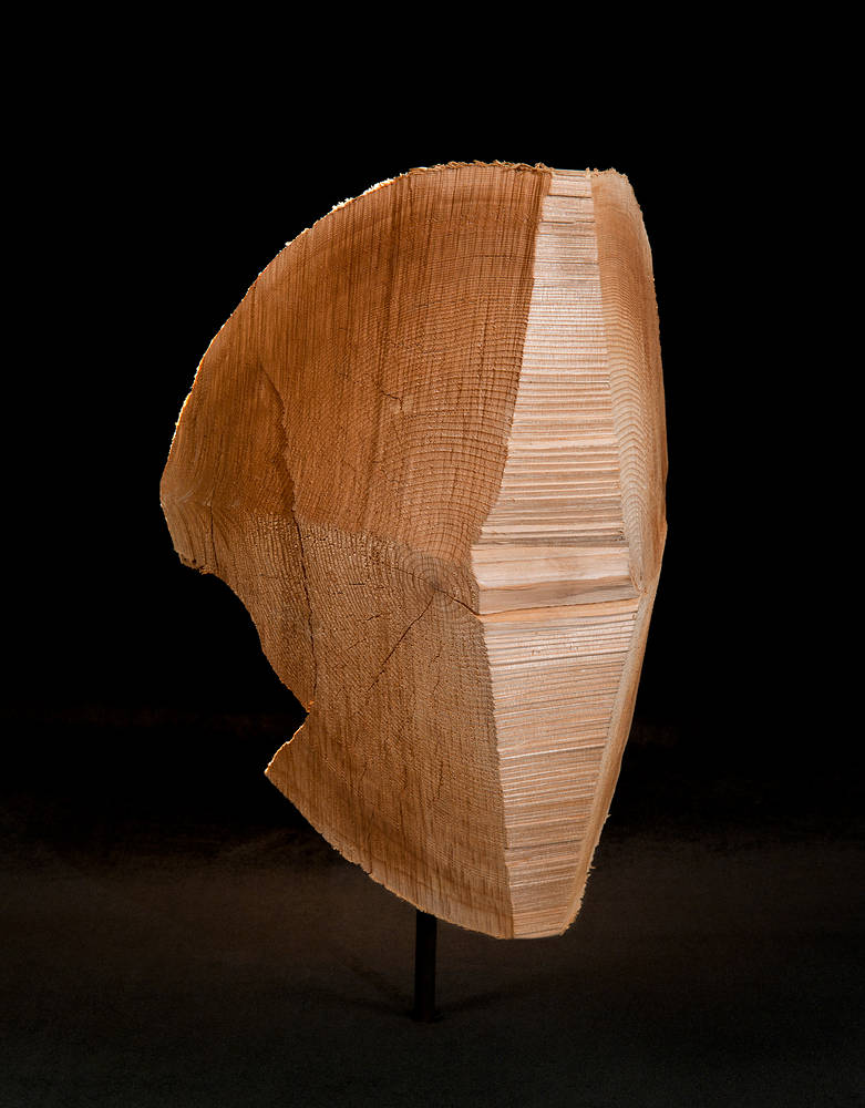 Longing #1 - Sonny Assu | Interdisciplinary Artist