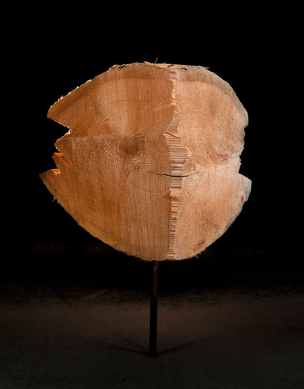 Longing #2 - Sonny Assu | Interdisciplinary Artist