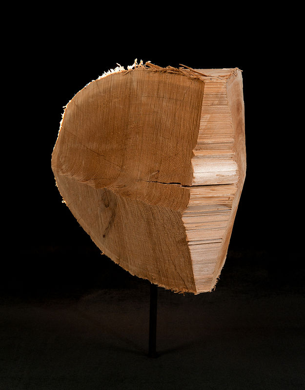 Longing #5 - Sonny Assu | Interdisciplinary Artist | sonnyassu.com