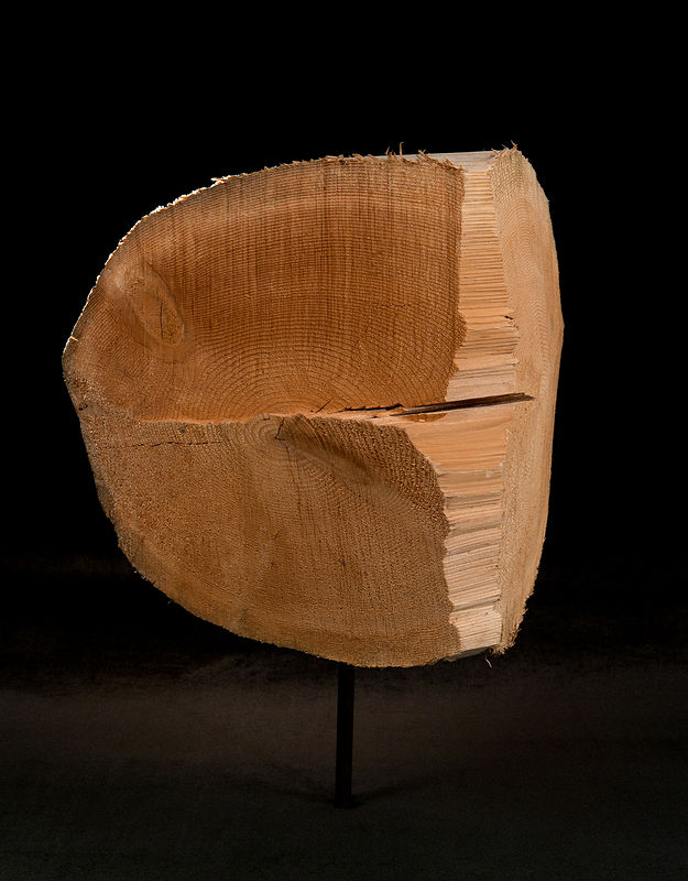 Longing #4 - Sonny Assu | Interdisciplinary Artist