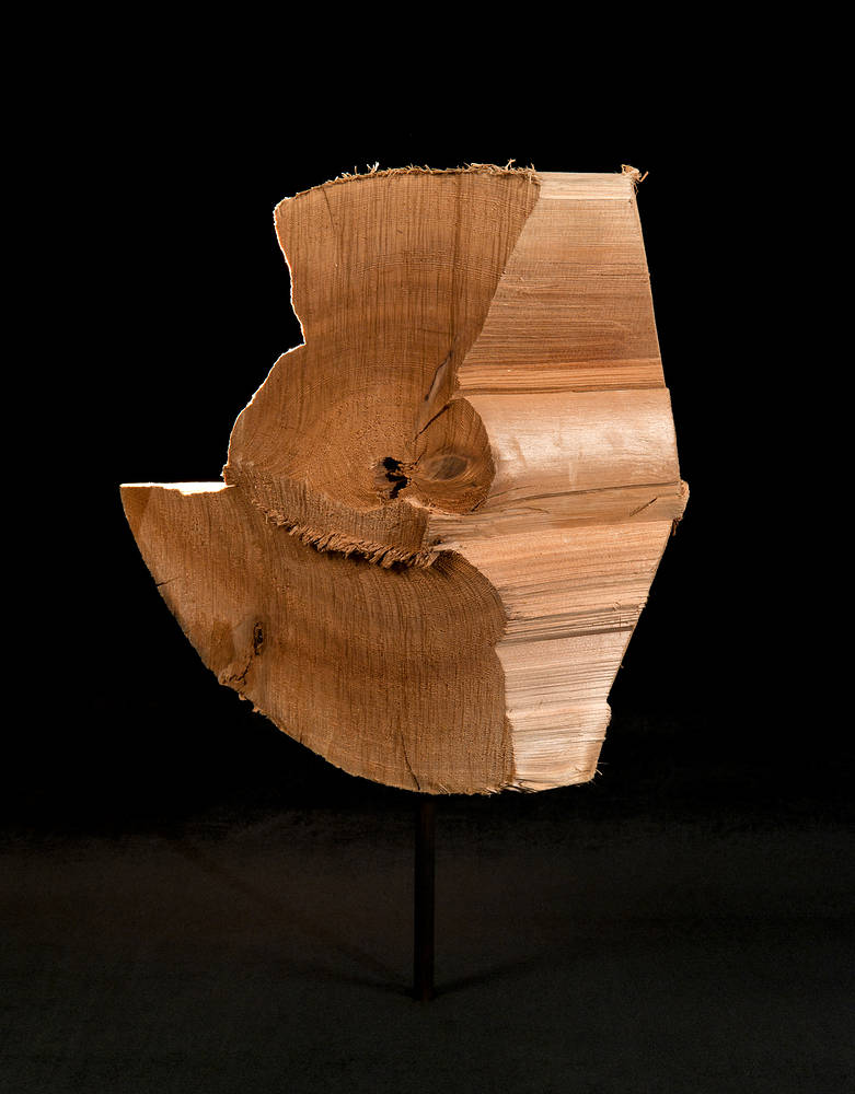 Longing #1 - Sonny Assu | Interdisciplinary Artist
