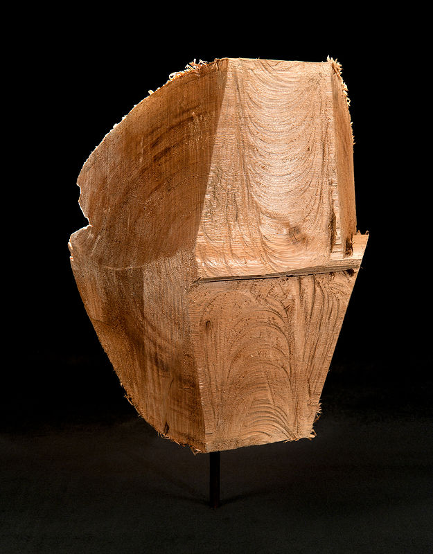 Longing #14 - Sonny Assu | Interdisciplinary Artist