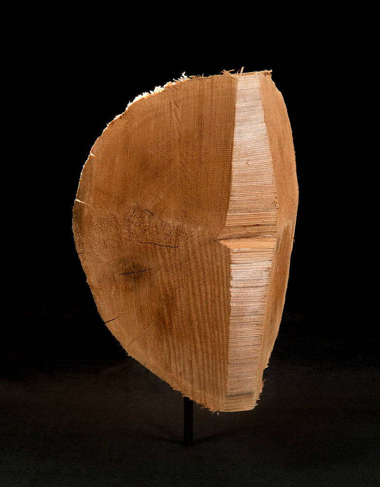 Longing #1 - Sonny Assu | Interdisciplinary Artist