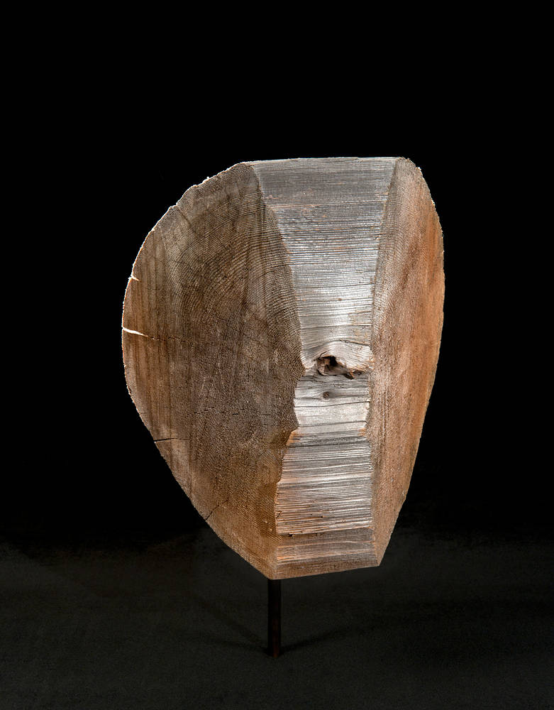Longing #1 - Sonny Assu | Interdisciplinary Artist