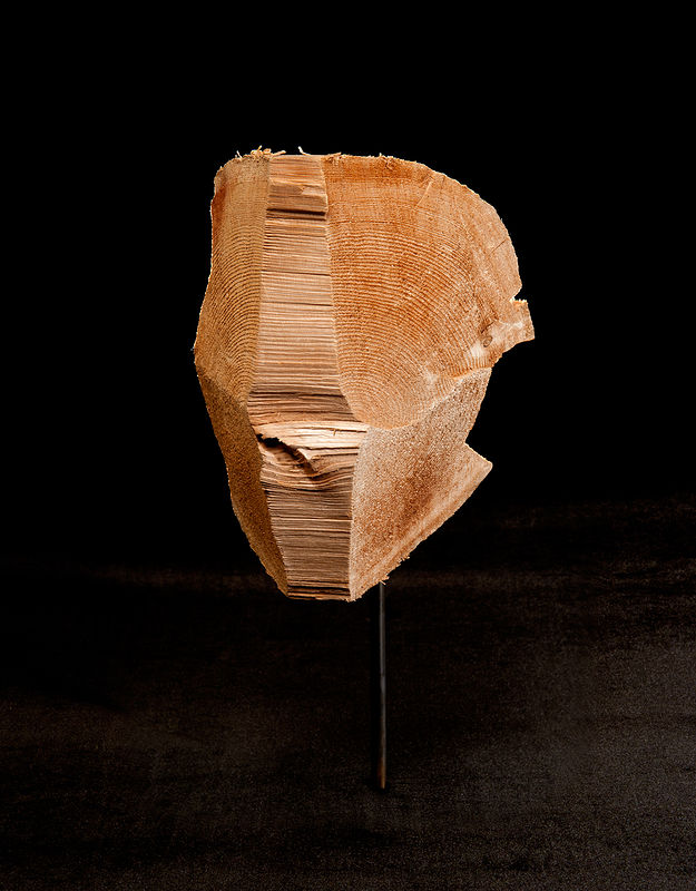Longing #31 - Sonny Assu | Interdisciplinary Artist