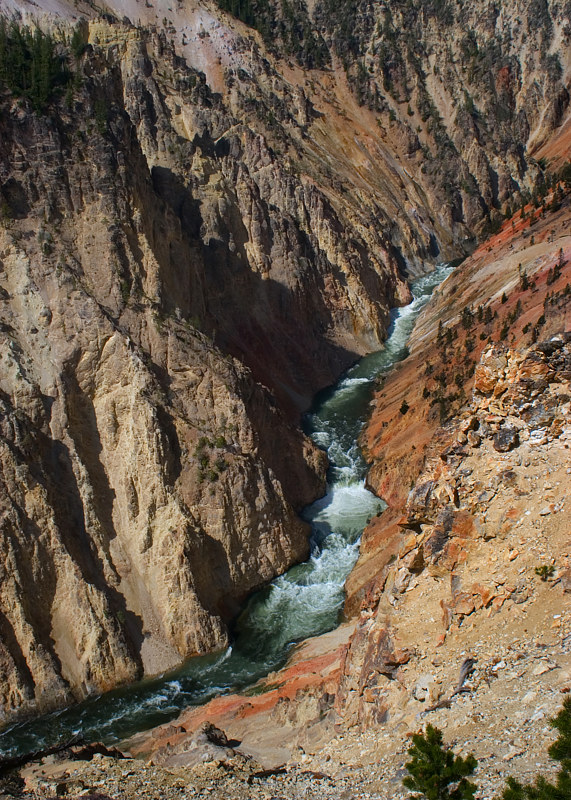 Canyon - Kathleen Gross - Artist