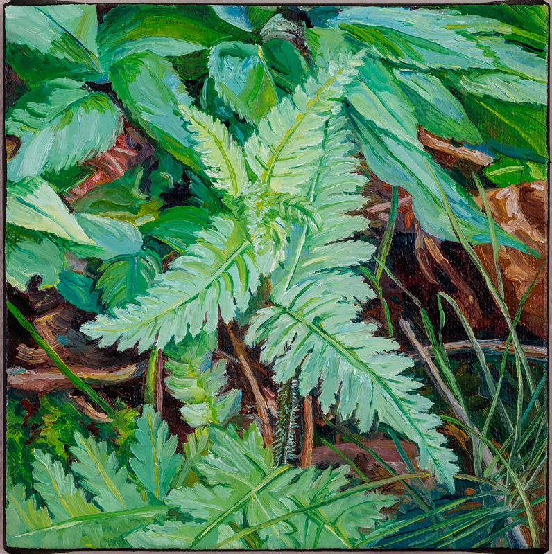 Furbish's Lousewort - Michael McEwing | Artworks