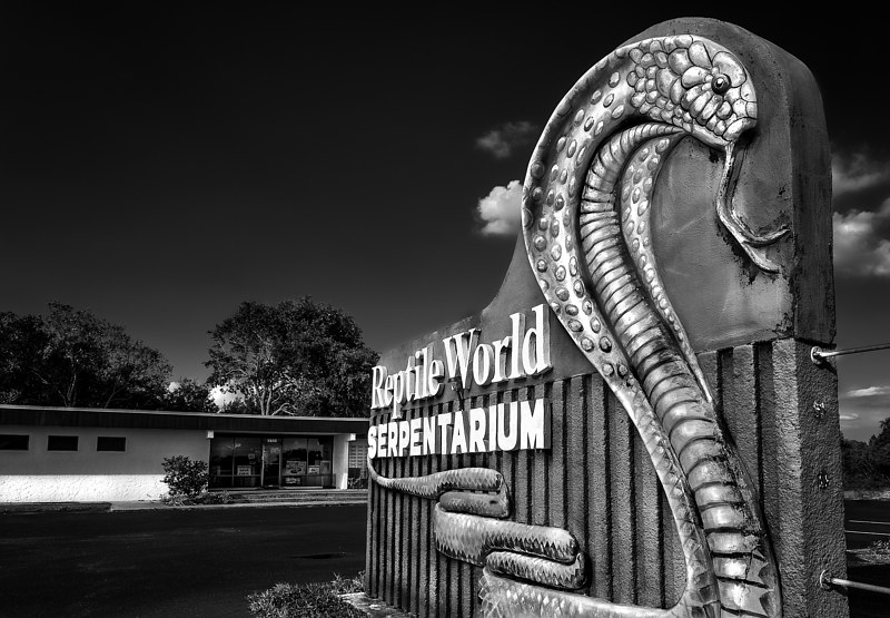 Reptile World Serpentarium - US 192 (PL52_7294BW) - gwjones photography