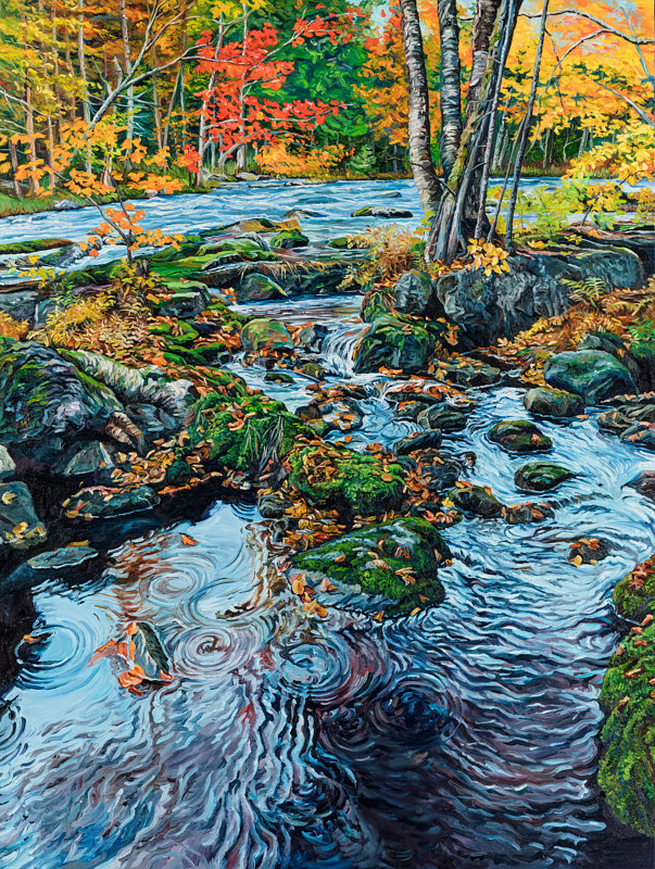 Drizzly Day on the Pokiok - Michael McEwing | Artworks