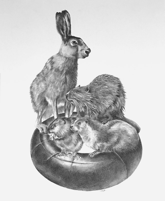 Michabo and the Great Flood - Ellen Cornett