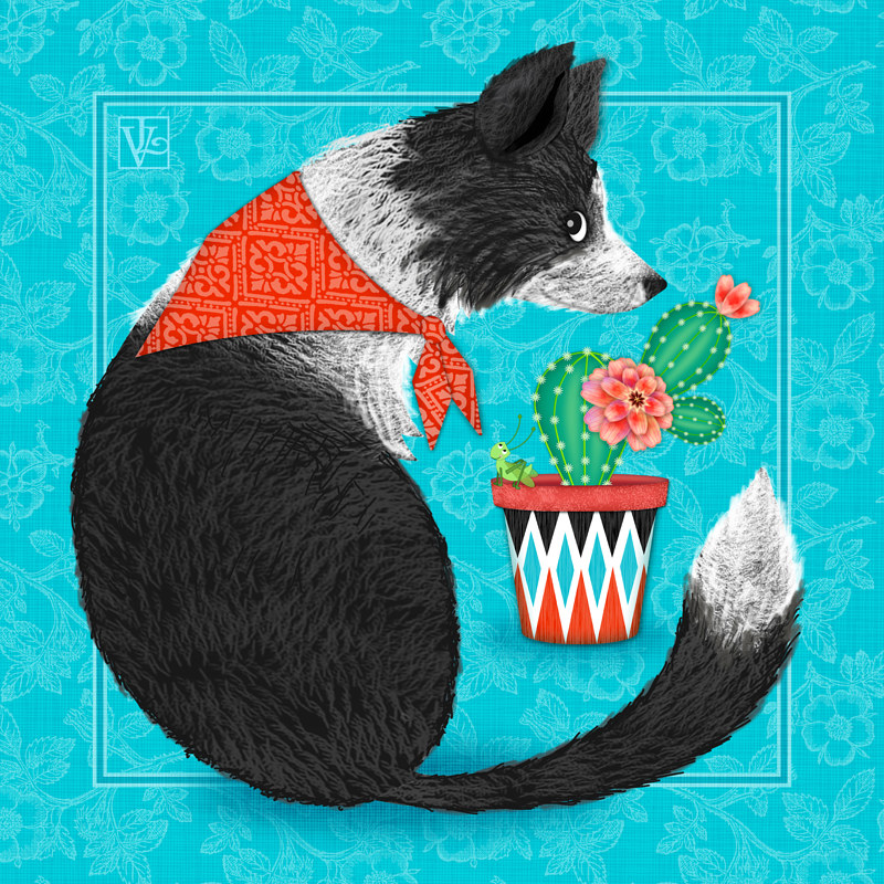 C is for Collie and Cactus - Picture Book Studio