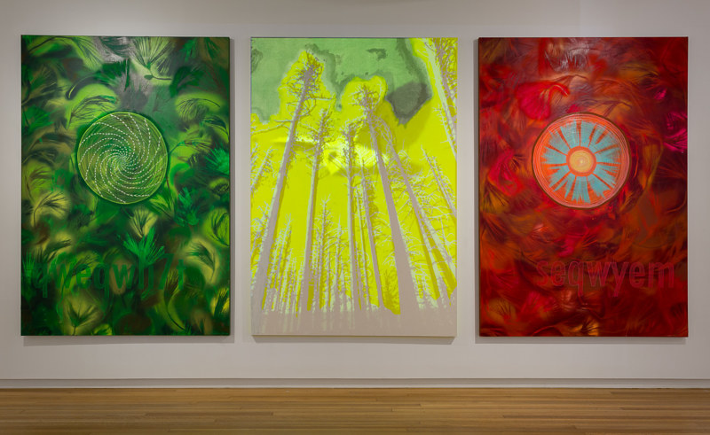 Pine Triptych - Tania Willard