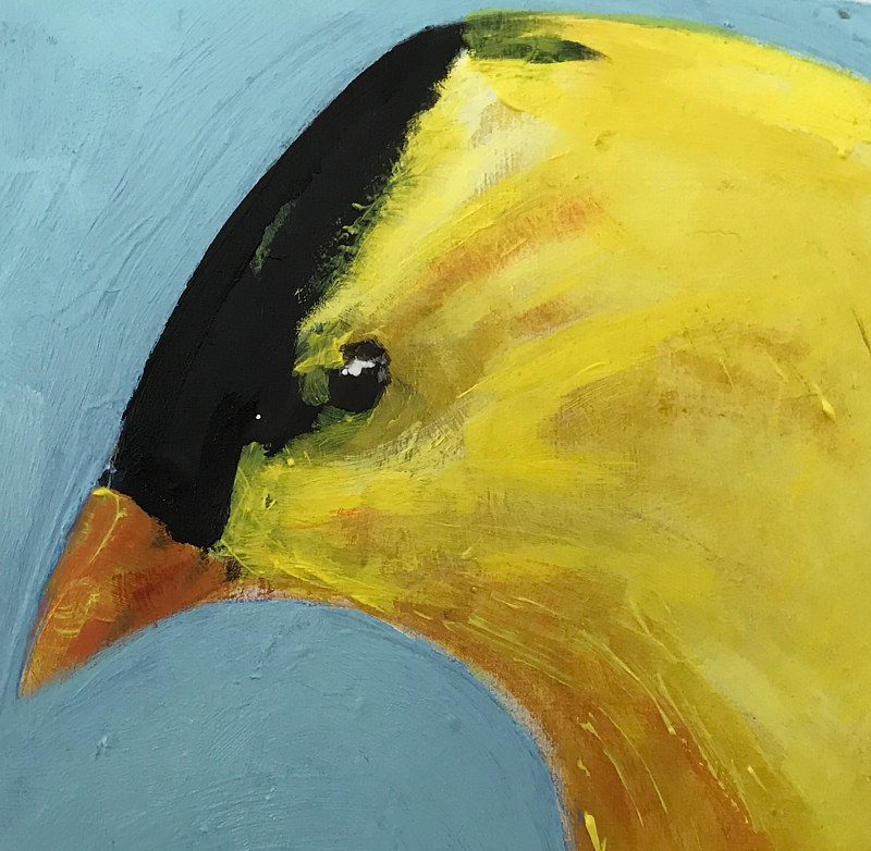 Vale Perkins Goldfinch #2, 2019 - Edith Dora Rey