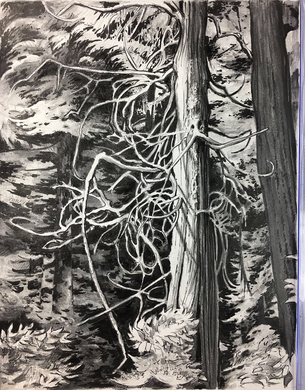 Coastal Giant - Thomas Kero - Artist