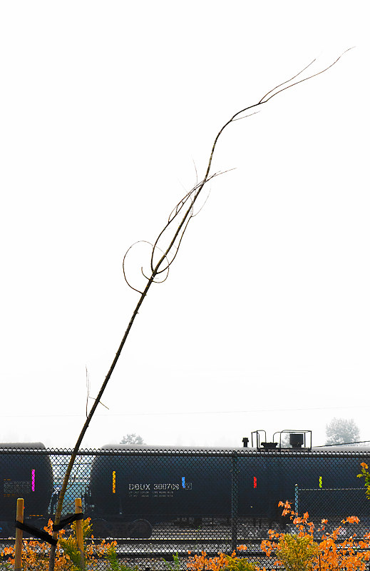 "Art and Loss" - hunter madsen . . beauty and chaos