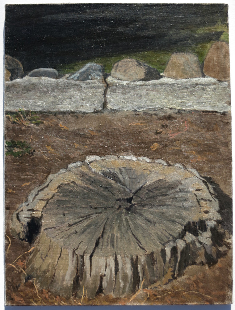 San Joaquin Valley - RANGEL STUDIO