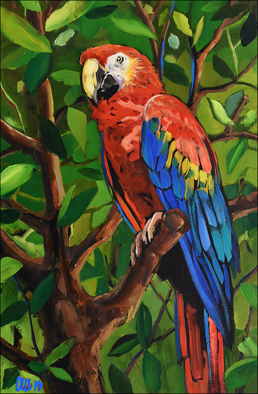 Parrot - Angelo Mariano - Artist