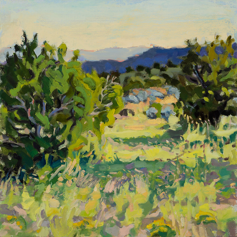 Grama Grass - Shawn Demarest