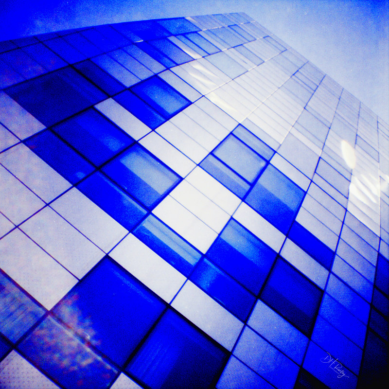 Blue & White - Dawn Herlihy Reilly Photographer