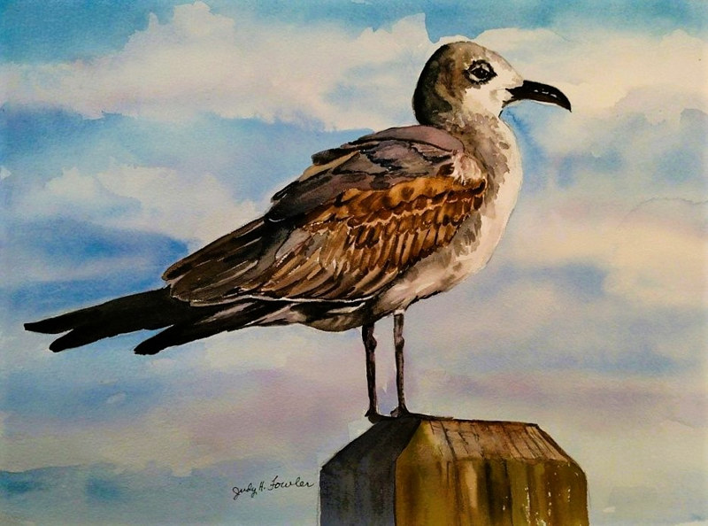 - Original watercolors by Judy H. Fowler