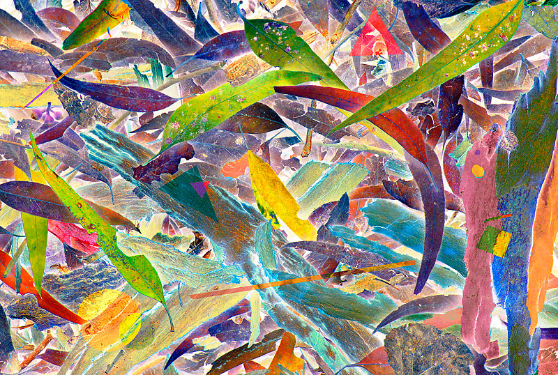 Kandinsky's Garden - hunter madsen . . beauty and chaos