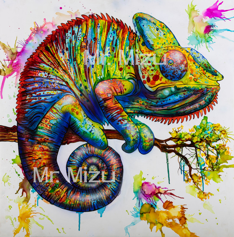 Fired Up - Mr. Mizu - Loud Paintings & Colorful Music - Denver Colorado