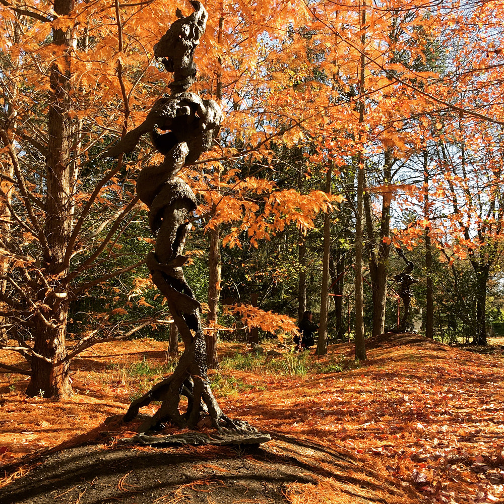 Smoking Root - Jonathan Hertzel - Artist.