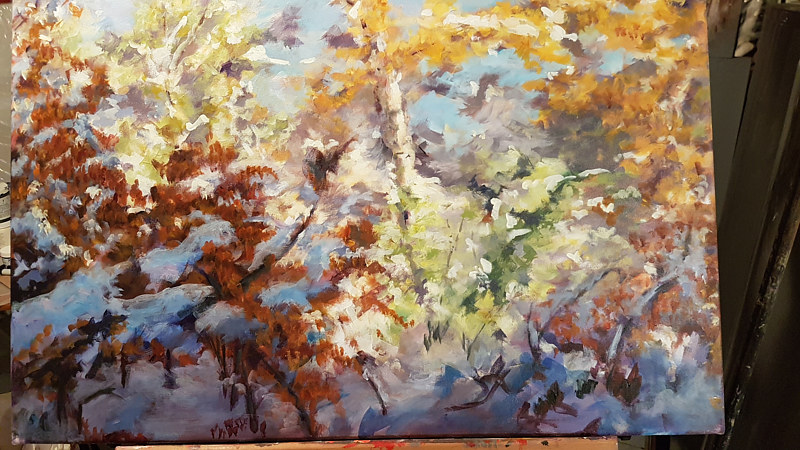 September Snow - Nancy Inlow - Artist