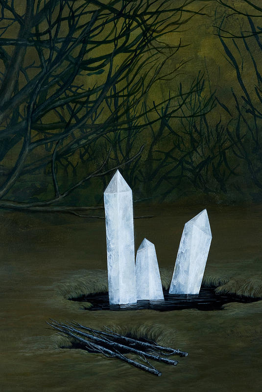 Phenomenon - detail - Rebecca Chaperon