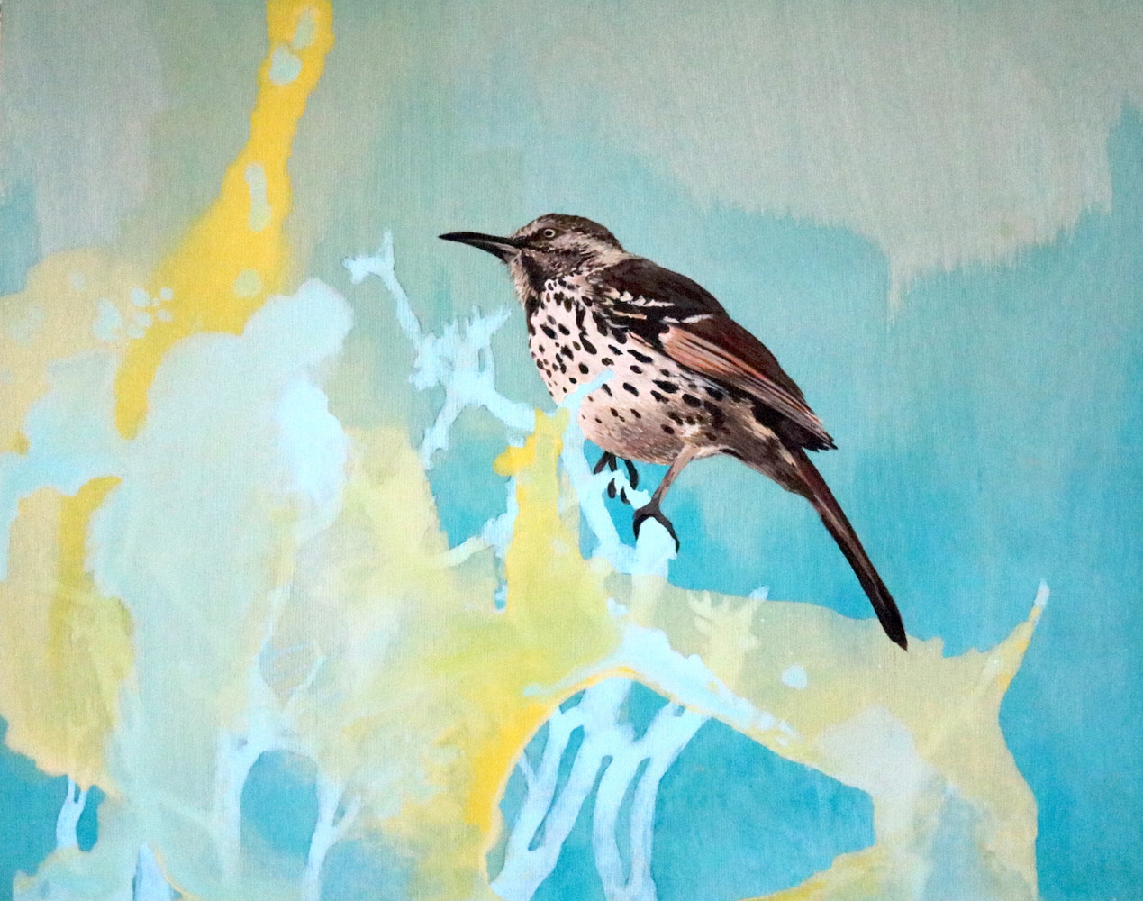 Holding On (Brown Thrasher) 2021 - Belinda Harrow - Artist