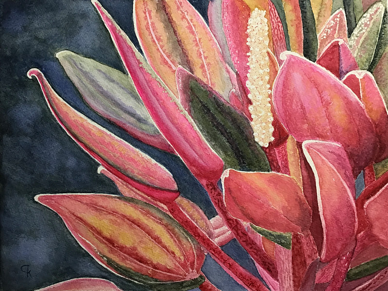 Pretty in Pink - Kathryn Phebus - Artist