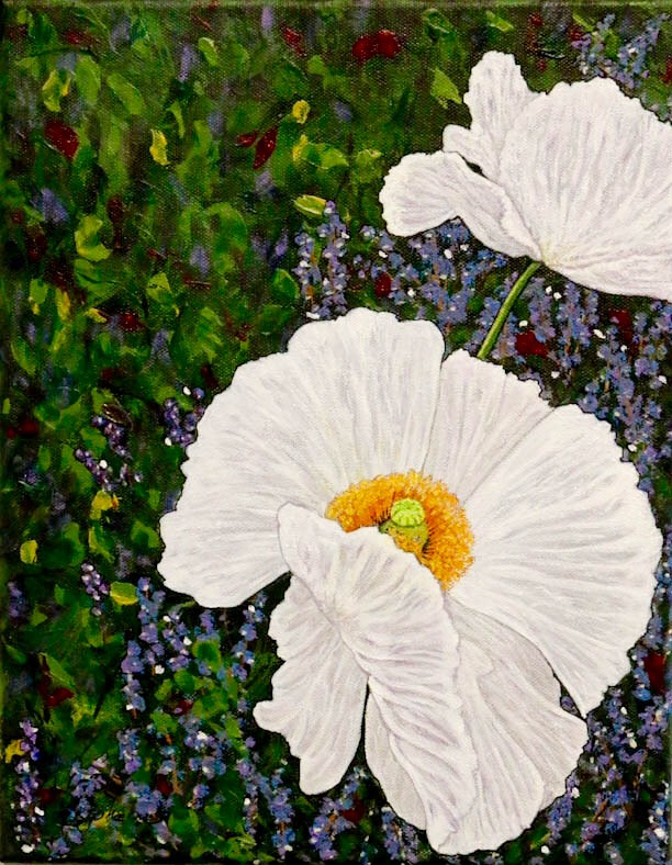 Poppies - Kathryn Phebus - Artist