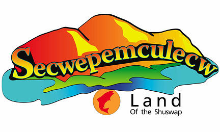 secwepemculecw - Tania Willard - Artist