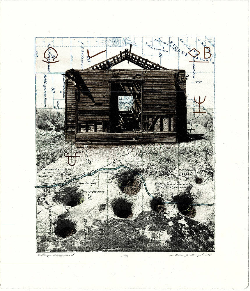 St Johns Riverbed at Ben Maddox Way - RANGEL STUDIO