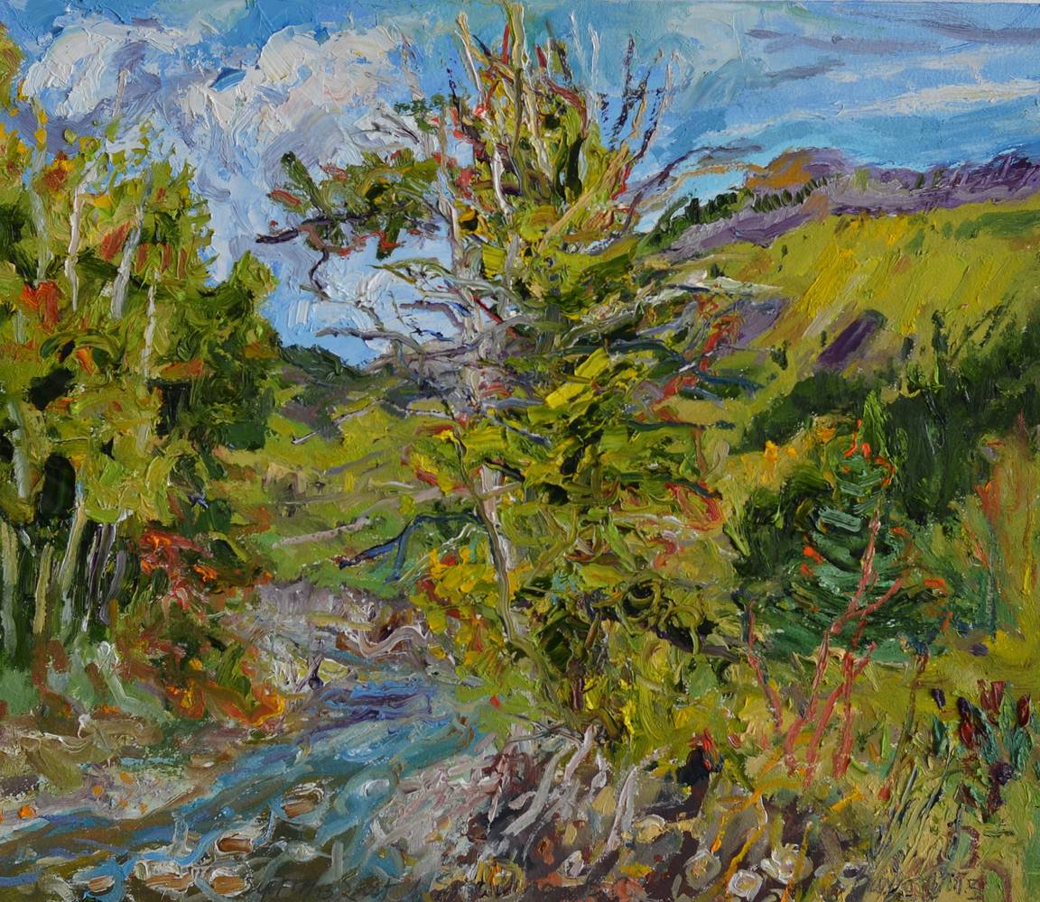 Landscapes - Peter Barron - Artist