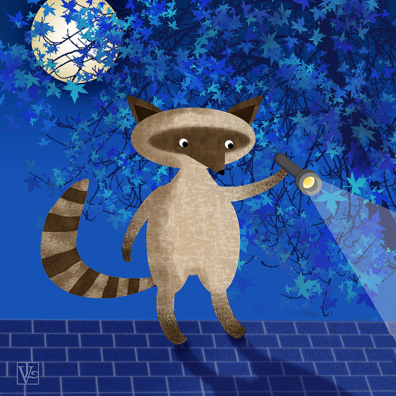 Rocky Raccoon - Picture Book Studio