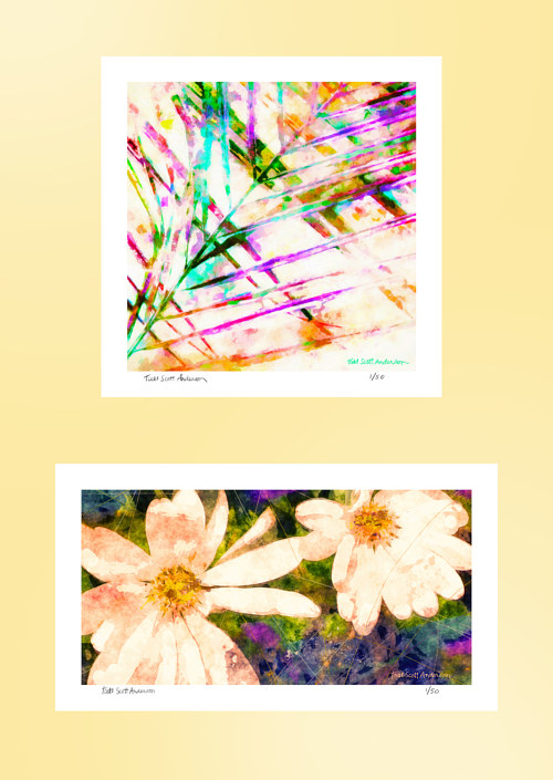 [ about limited edition prints ] - todd scott anderson